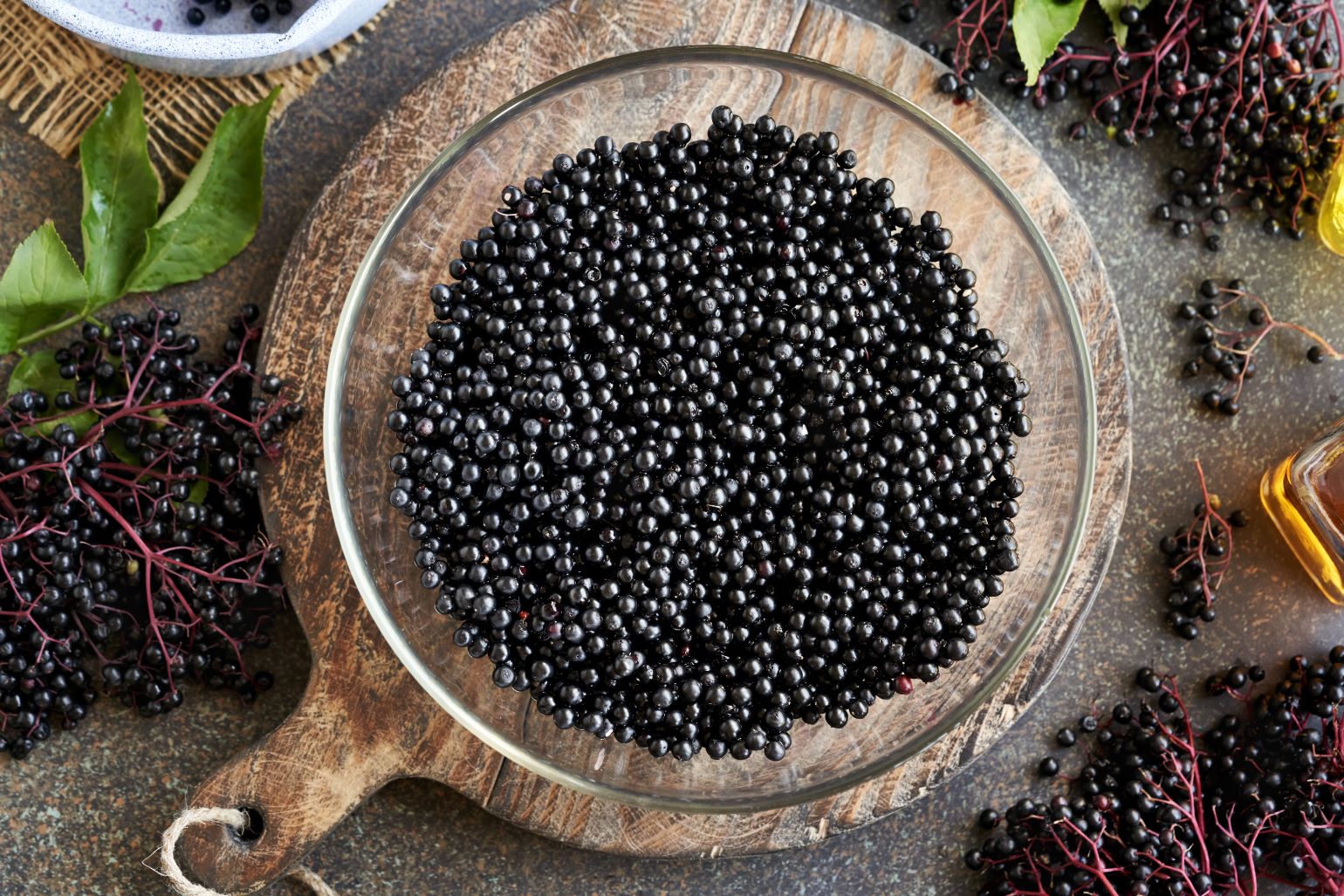Soc negru – proprietati terapeutice