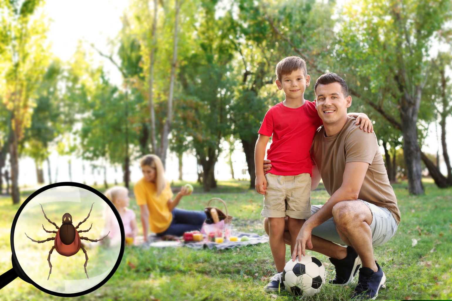 Primul ajutor in caz de muscatura de capusa - ce presupune